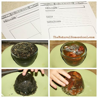 DIY Science Experiments For Kids – Being Ecomomical
