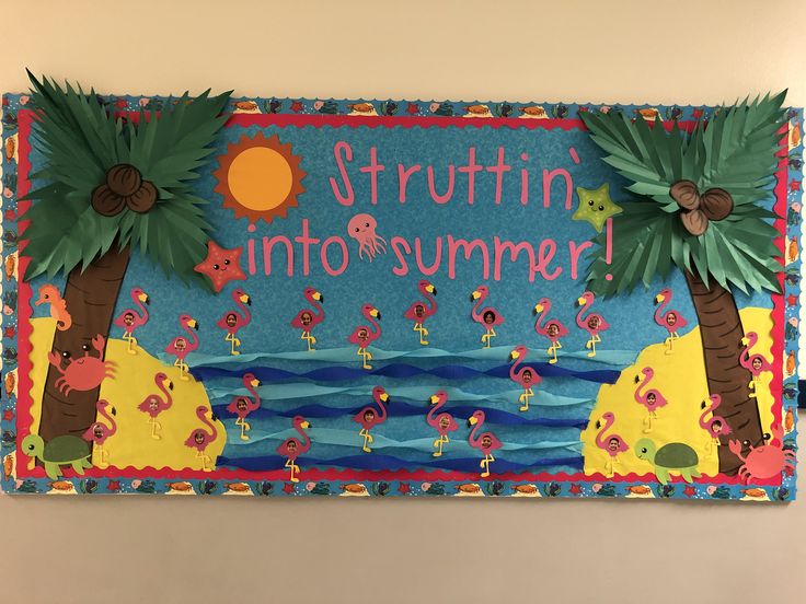 50+ Creative Summer Bulletin Board Ideas for Classrooms